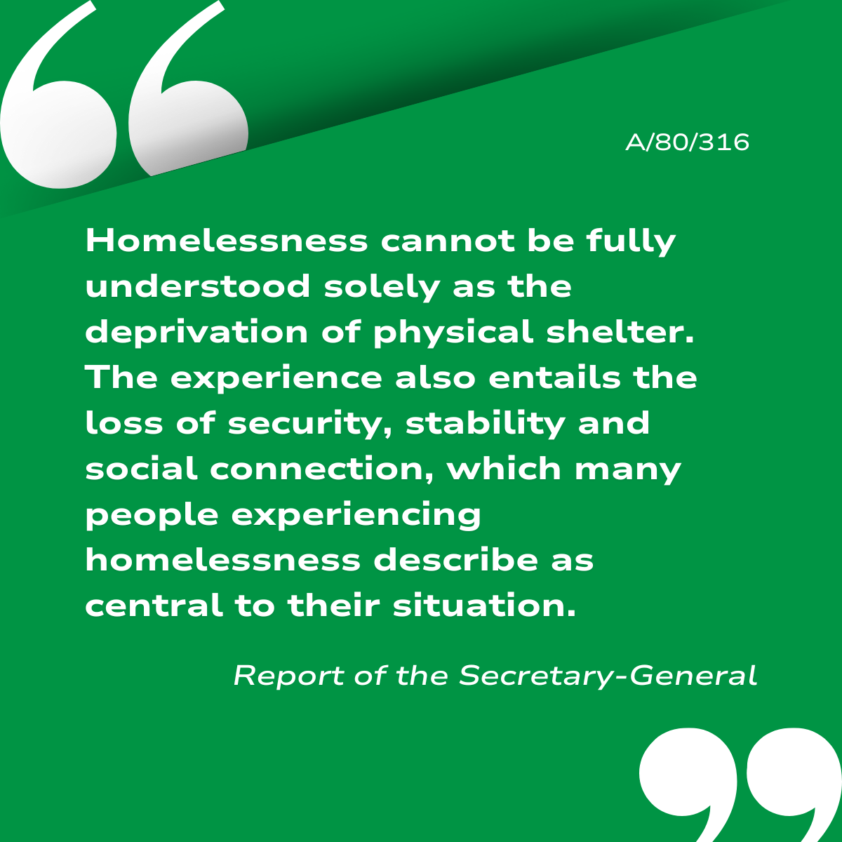 What Does the UN Report Recommend?